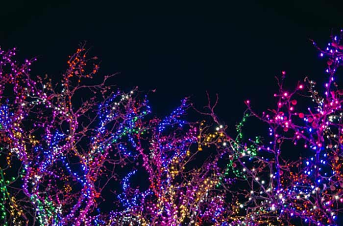 How to Prevent Christmas Lights from Tripping the Circuit Breaker